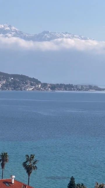 24 февраля 2023 г.