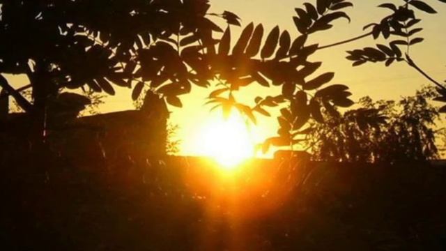 Я пришёл к тебе с приветом. стихи. Фет А. А.