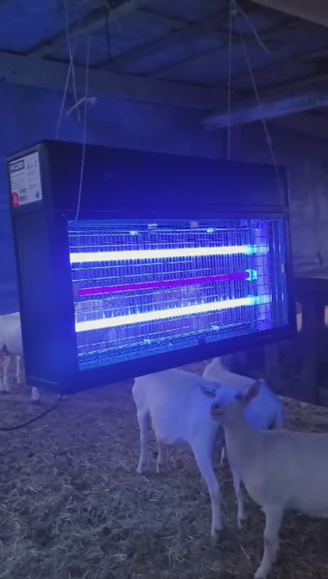 Козлятник №2.  Продолжение борьбы против комаров . FROJER PRO XC80-FSL