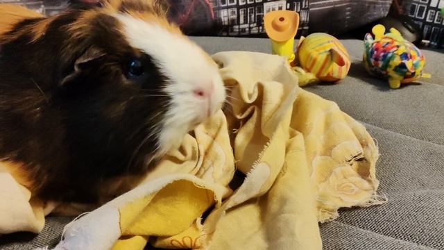 3 сезон 5 серия побег с больницы