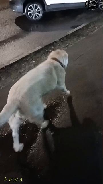 Настоящая зимняя погодка