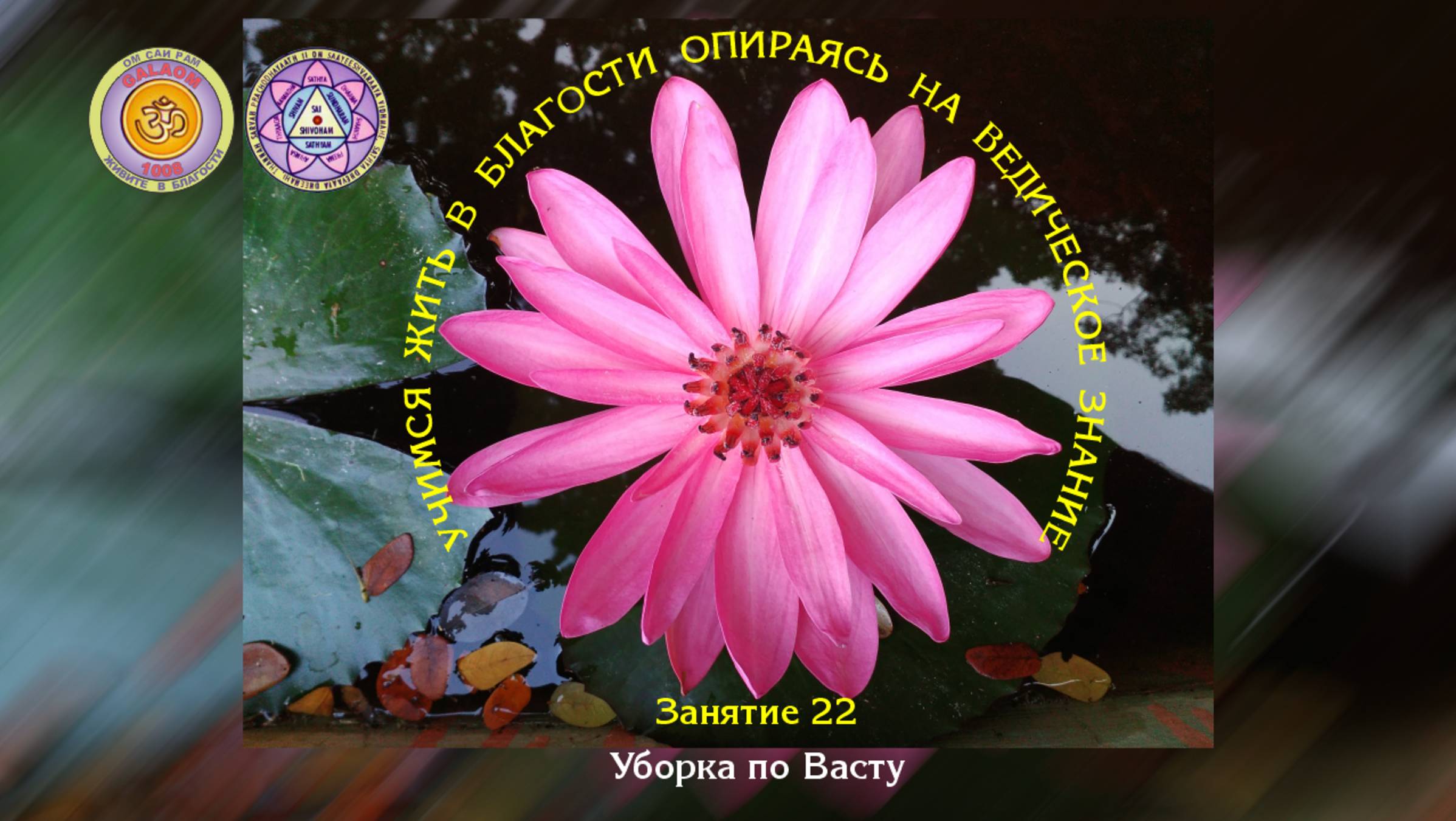 Учимся жить в Благости. Занятие 22. Уборка по Васту.