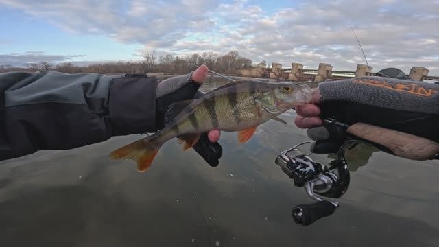 ЗНАТНЫЙ ВЫЕЗД. ПОЛОВИЛИ, ПОБОЛТАЛИ. Рыбалка в Феврале. Ловля на Спиннинг.