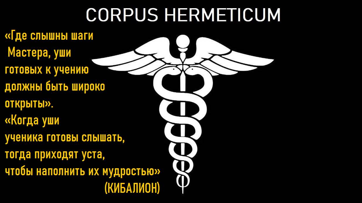 СЕМИНАР: 2 ТВОИХ ЧАСА - ИЗМЕНИВШИЕ МИР. Повторение - нейронных связей появление.