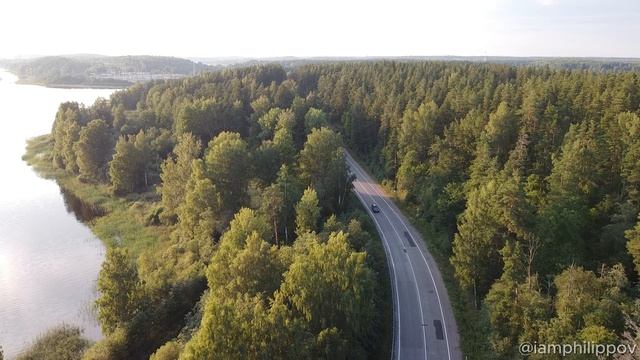 Полеты над лесами