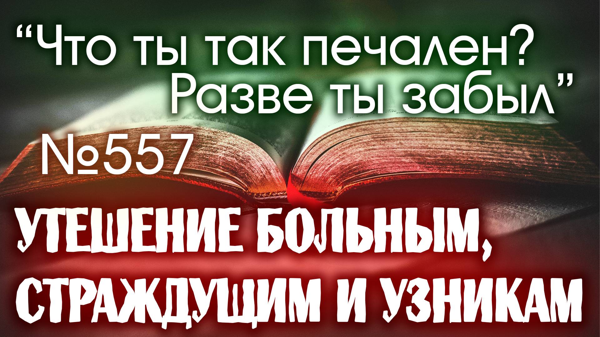 ПВ_4k №557 Что ты так печален? Разве ты забыл