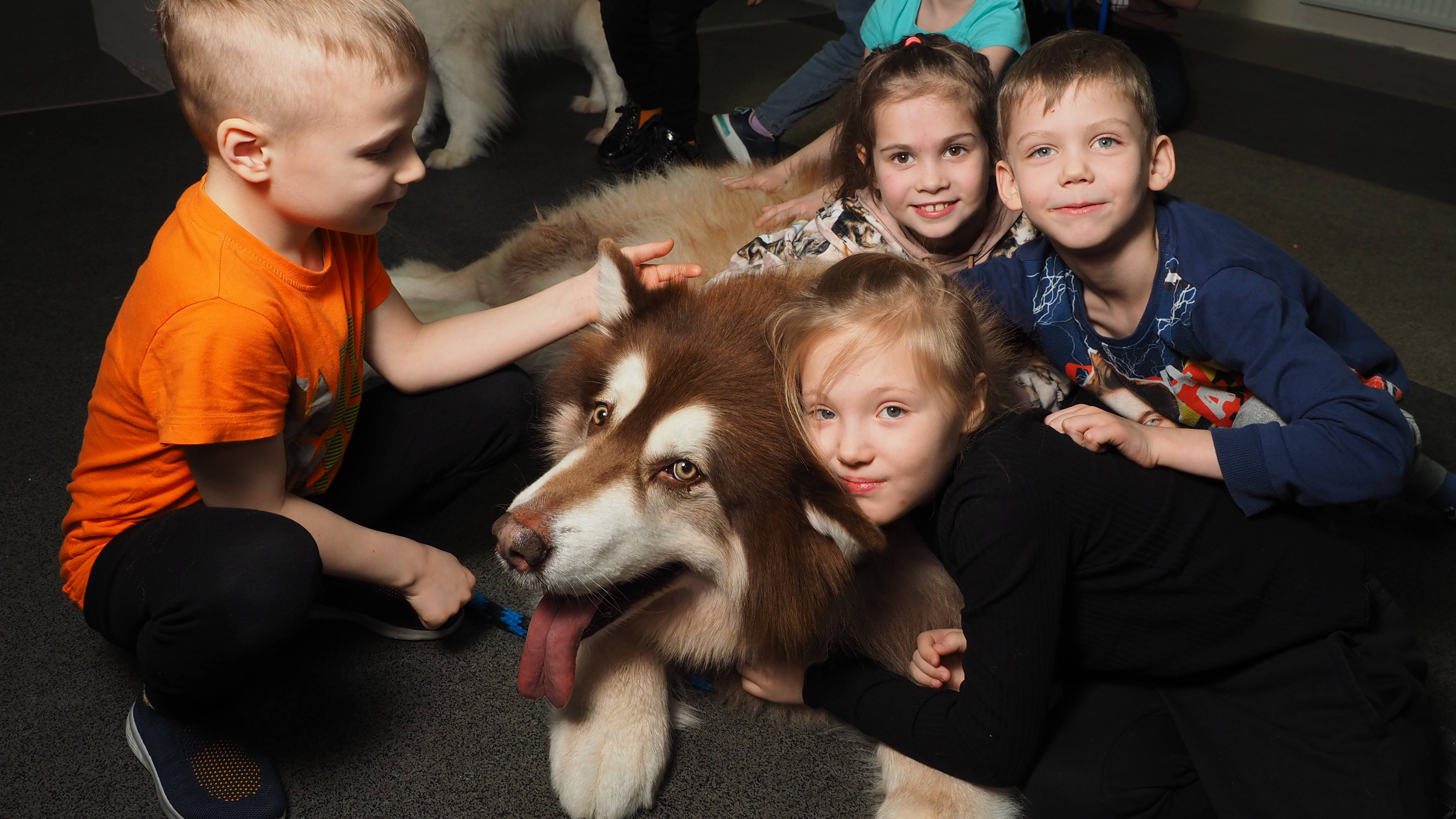 Дети в гостях у собак-терапевтов