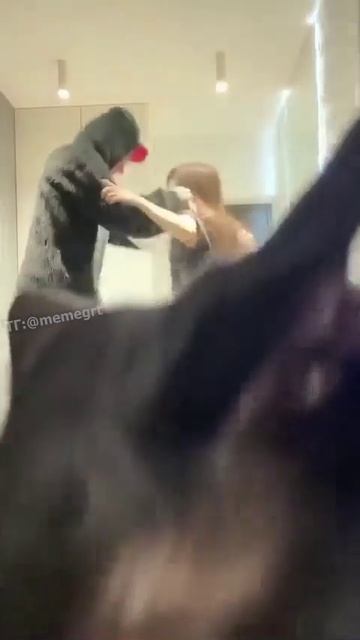 Вы шокировали котика