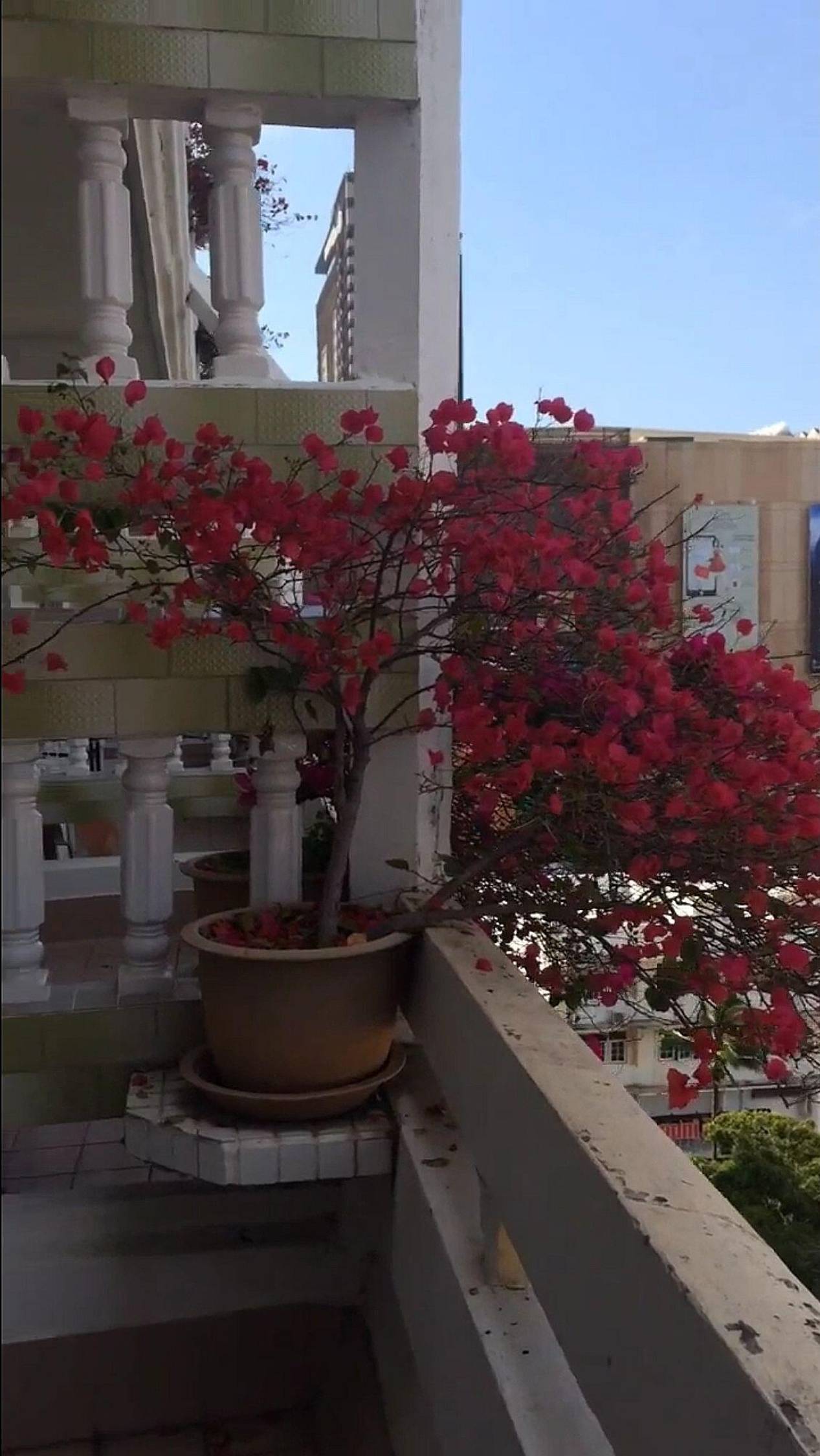 💃 Анна в Таиланде - март 2018 год.