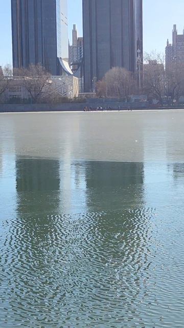 Бесстрашные китайцы