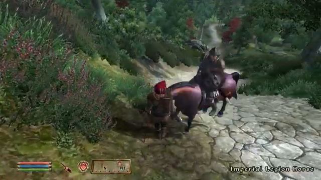 Elder Scrolls IV Oblivion