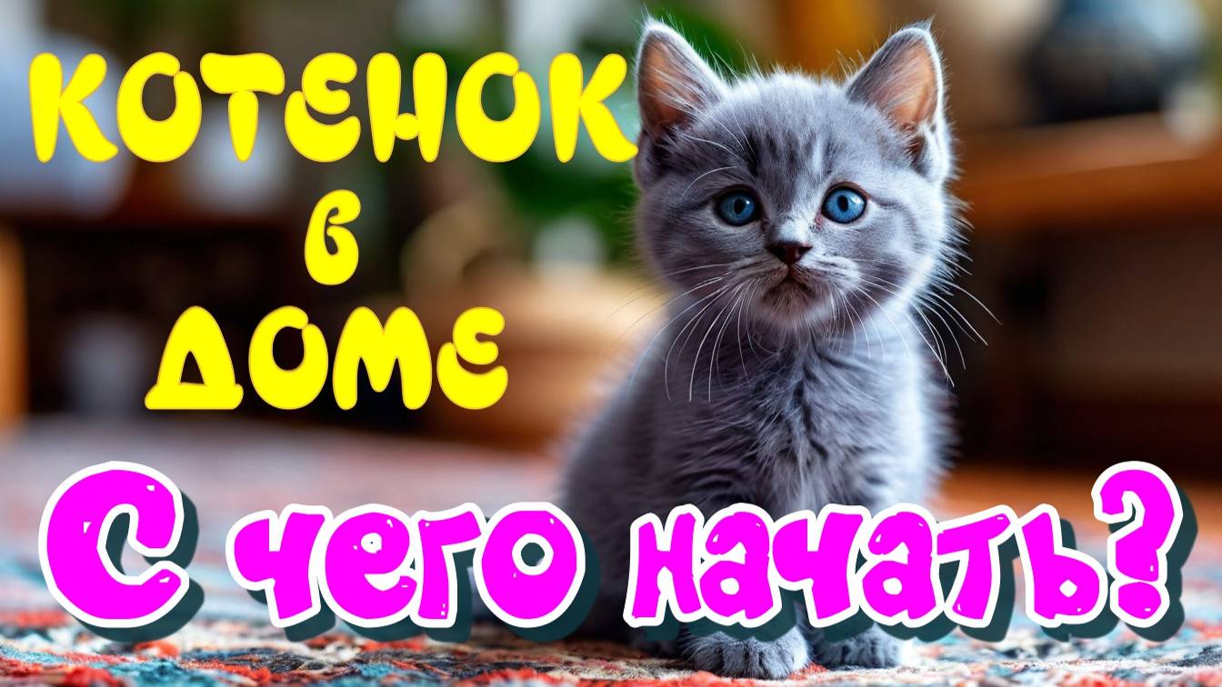 Маленький котенок. Обучение и социализация.