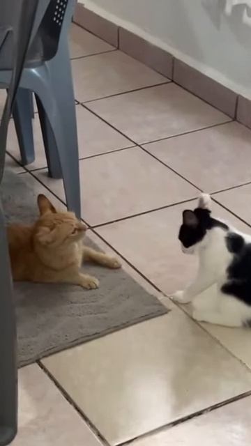 Да я просто умыться хотел...