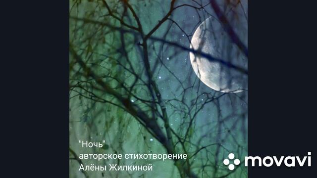 «Тихо всходит седая ночь...»