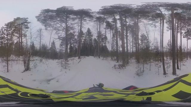 Зимний лес на мотике в 360°ч. 2, смотреть в браузере