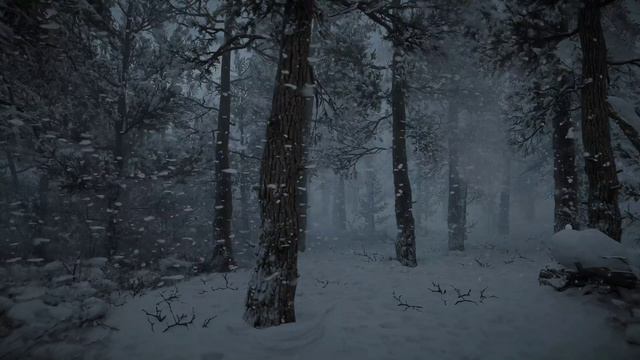 Звуки ветра в зимнем лесу звучат для спокойного сна и отдыха
