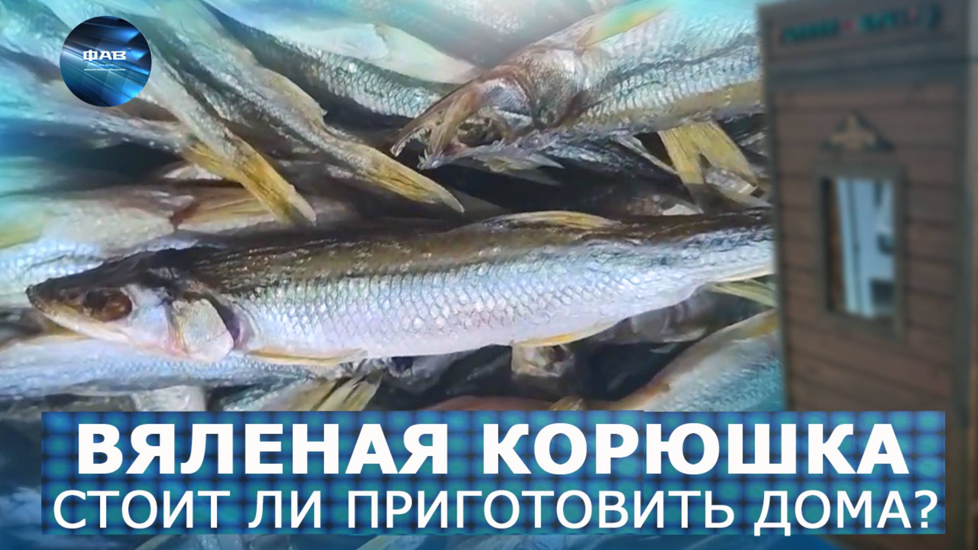 Вяленая корюшка. Рецепт приготовления в коптильне. ФАВ Пищевое оборудование.