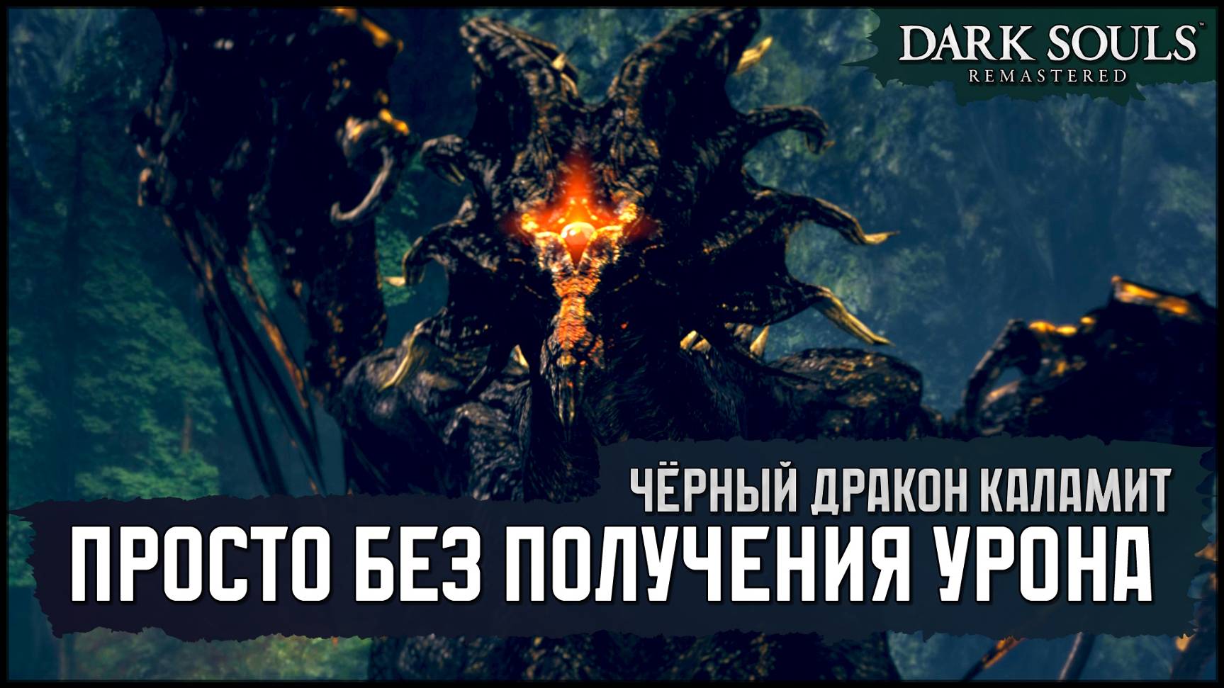 [No-Hit] Чёрный дракон Каламит | Два боя из-за конфуза... 🡆 Dark Souls: Remastered