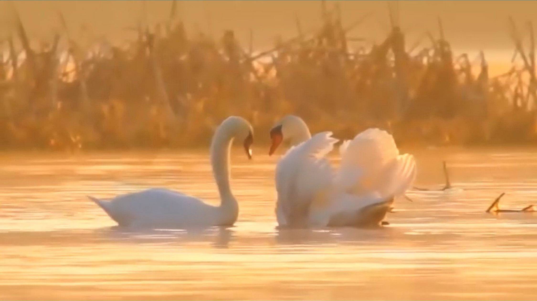 💕🌞 Будет любовь могущество иметь -- как хочется чтоб так и было.