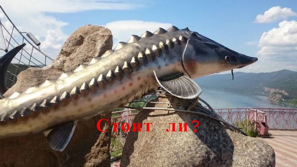 Стоит ли ехать на смотровую площадку "Царь-рыба" Красноярск (Рыбу украли)