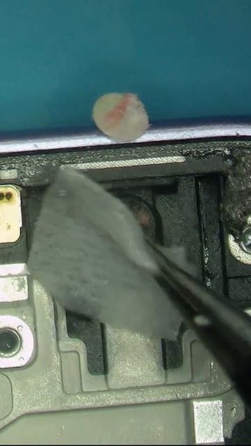 Redmi Note 13 Pro удачно упал в воду