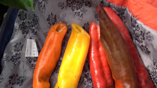 Перец Палермо