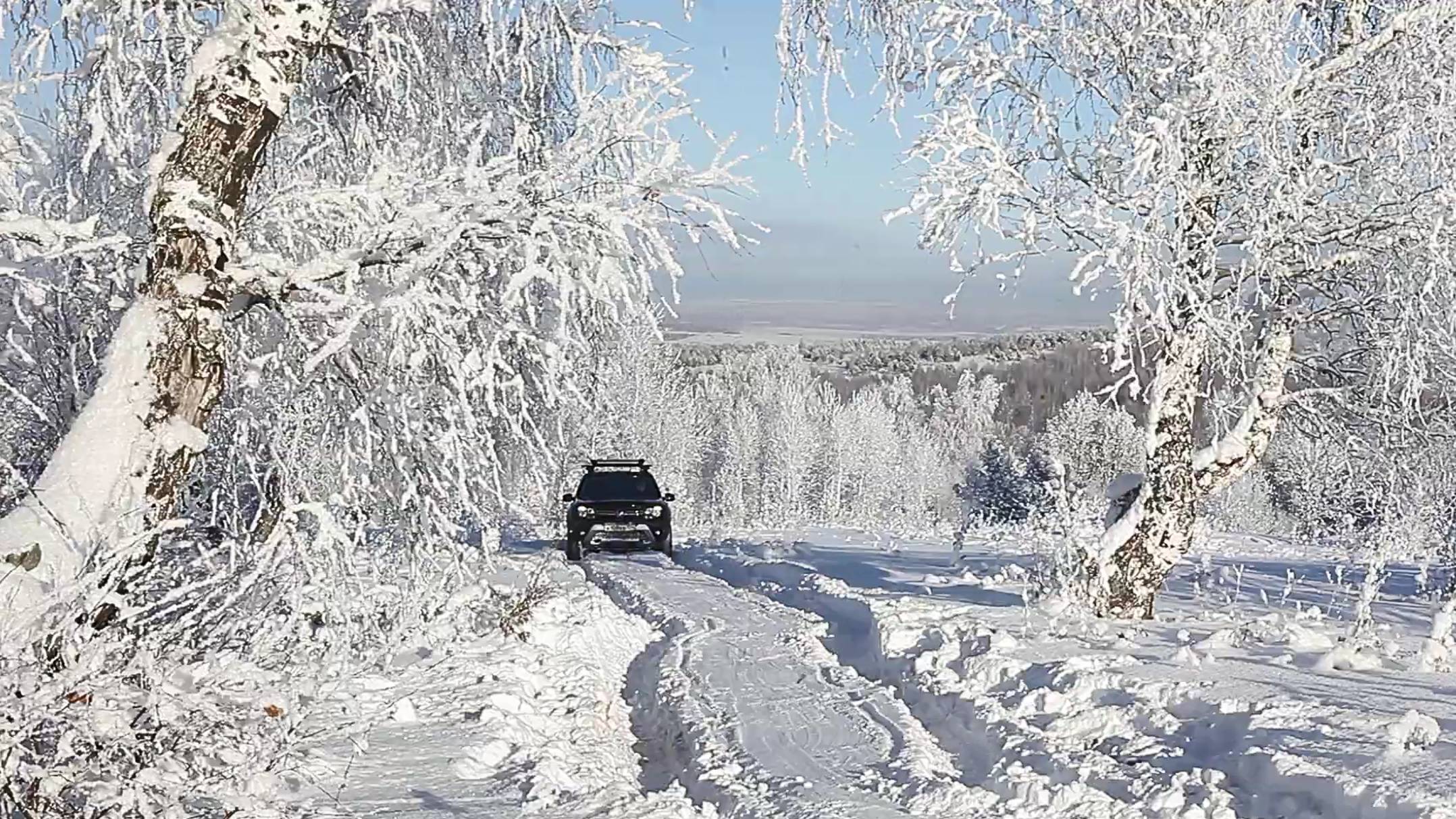 МОРОЗНОЕ УТРО ДИЗЕЛЬНЫЙ ДАСТЕР ЕДЕТ ПО ЗИМНЕМУ ЛЕСУ.