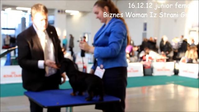 Бизнес Вумен из Страны Грез