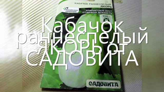 Кабачки урожайные, белоплодные, раннеспелые от САДОВИТА: ГАЛАКСИ F1, ЯКОРЬ.