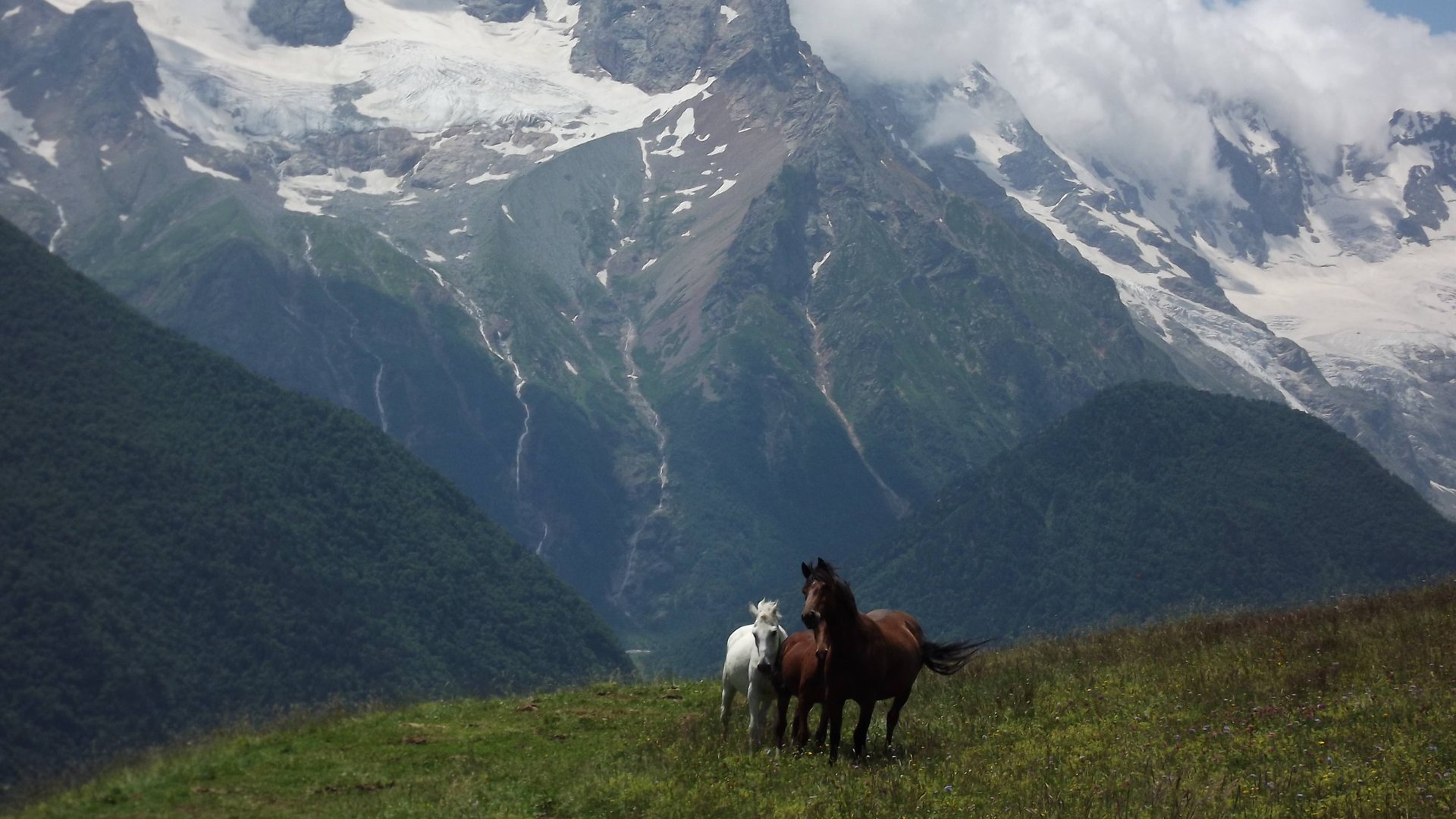 2015.07.11-19. Горный поход в память о Меньщикове