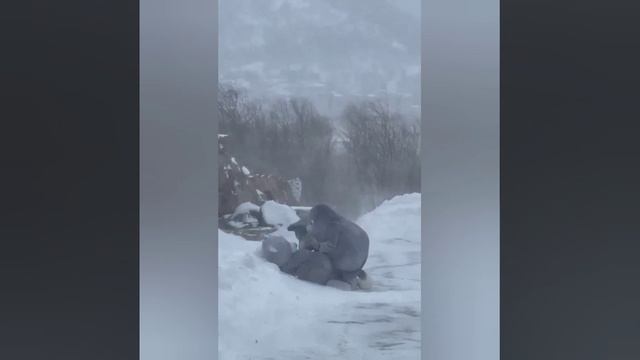 третьим будешь?