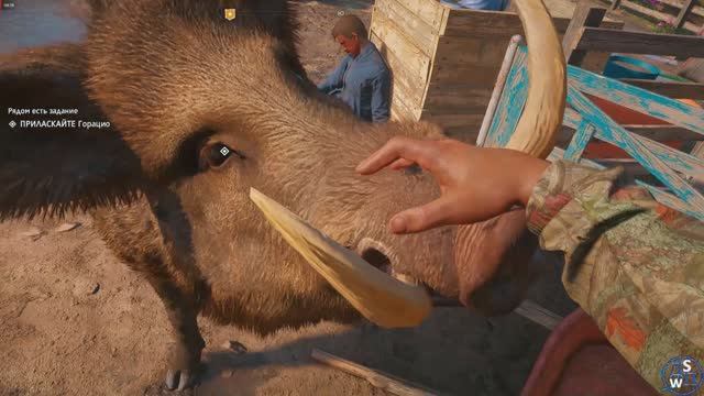 New Dawn: Отряд!!