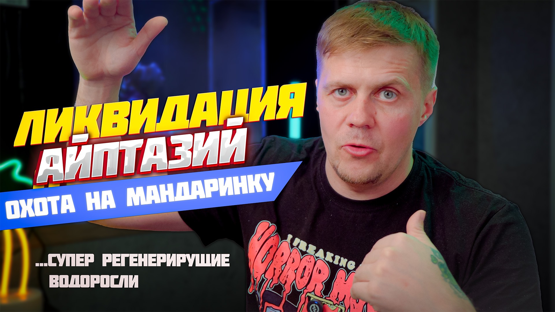 VLOG-34-1(ликвидация айптазий,охота на мандаринку,супер регенерирующие водоросли)