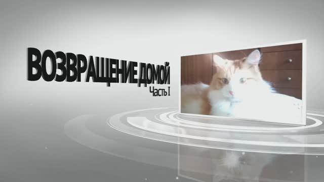 Возвращение Рыжика домой часть 1
