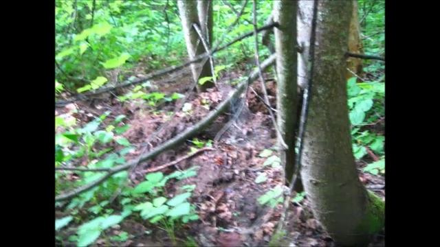 Не влезая в дебри