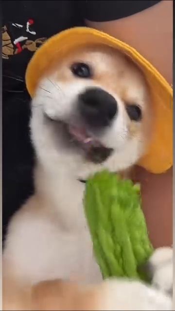 Очень вкусно!