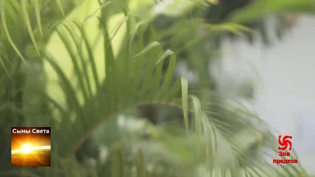 Как пастыри обманули миллиарды христиан и почему христиане не получат вечной жизни? Вся правда здесь