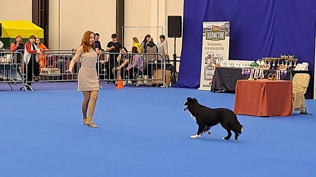 Александра Рыбакова-,,Мастер и Маргарита "Выключилась музыка.Экспофорум.Зоошоу.Санкт-Петербург.2024