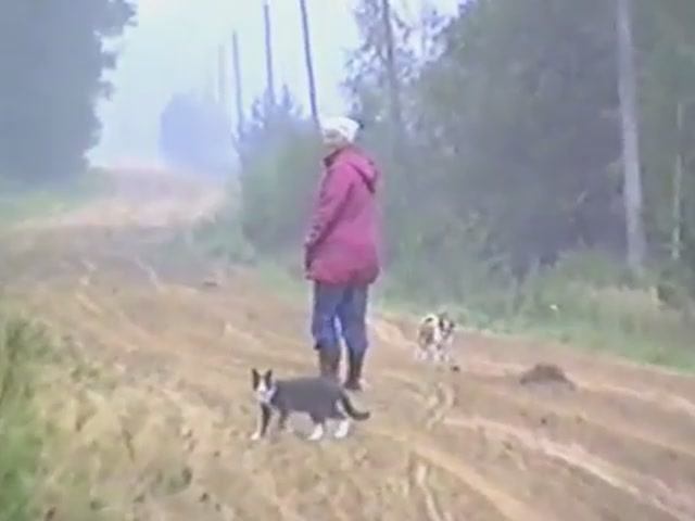 ПрогулкаUnhurried walk