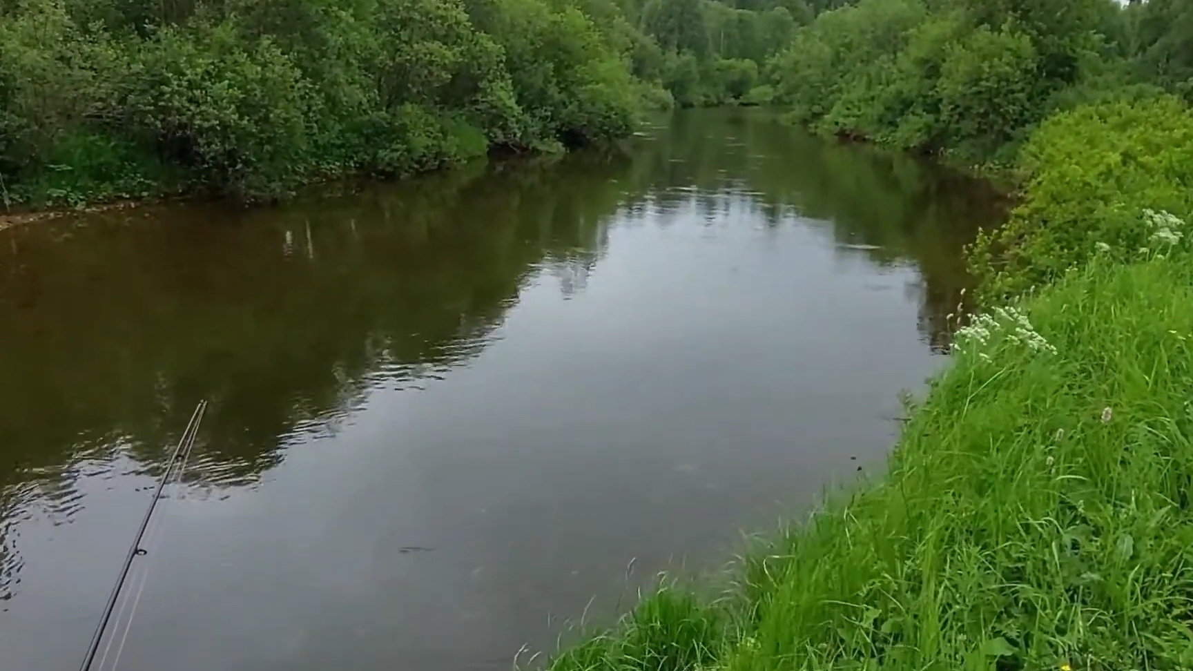 За хариусом. часть 2 (for grayling).