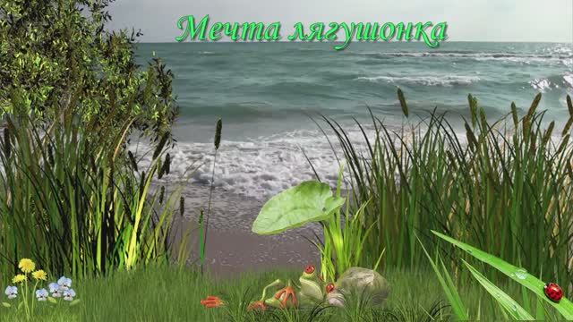 Мечта лягушонка