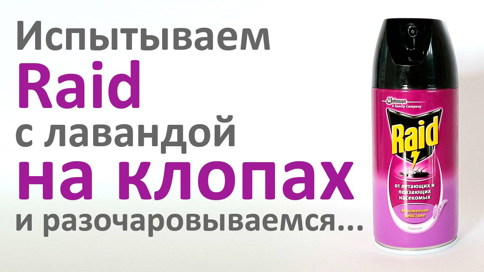 Raid с лавандой против клопов нас разочаровал - после феерического результата на тараканах