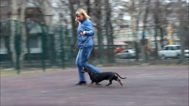 Принц