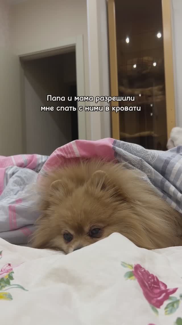 Басенька - милая засоня!