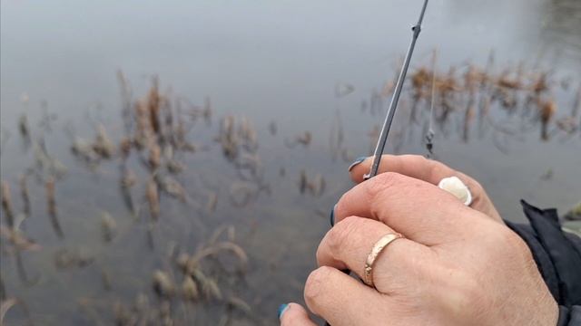 НЕ зимняя Рыбалка в Астраханской области. 03.12.2024г. Окуневое место.