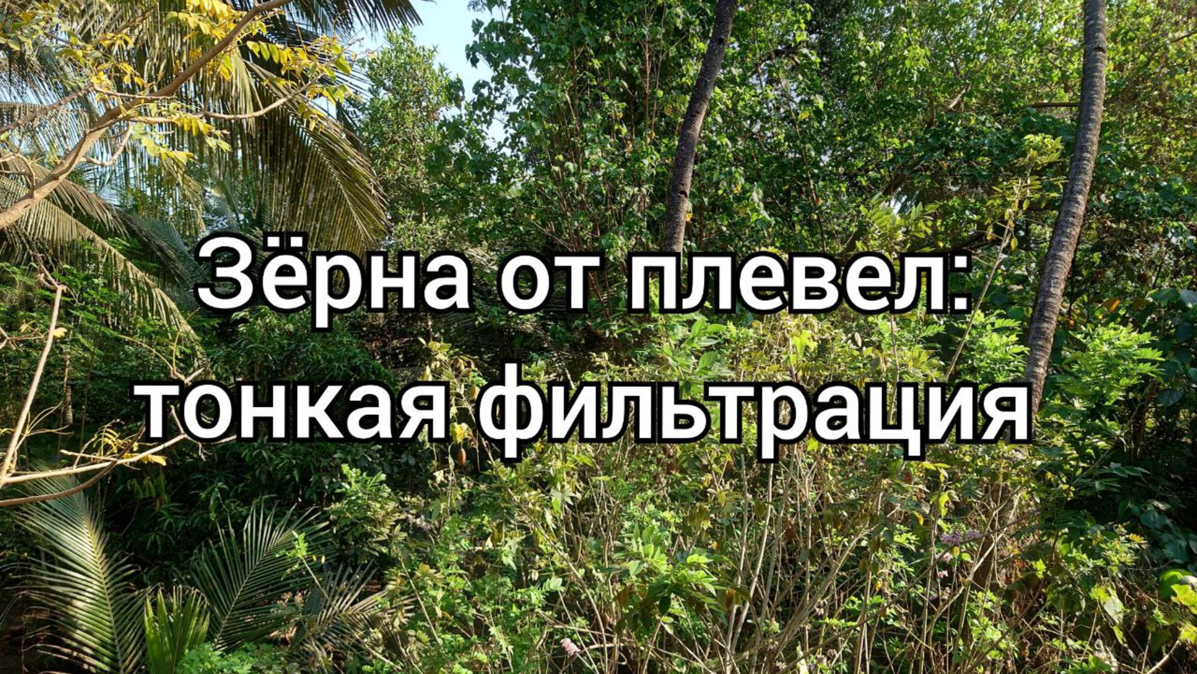 Ловушки для душ на тонком плане. НЕТ контрактам. Свободная Воля