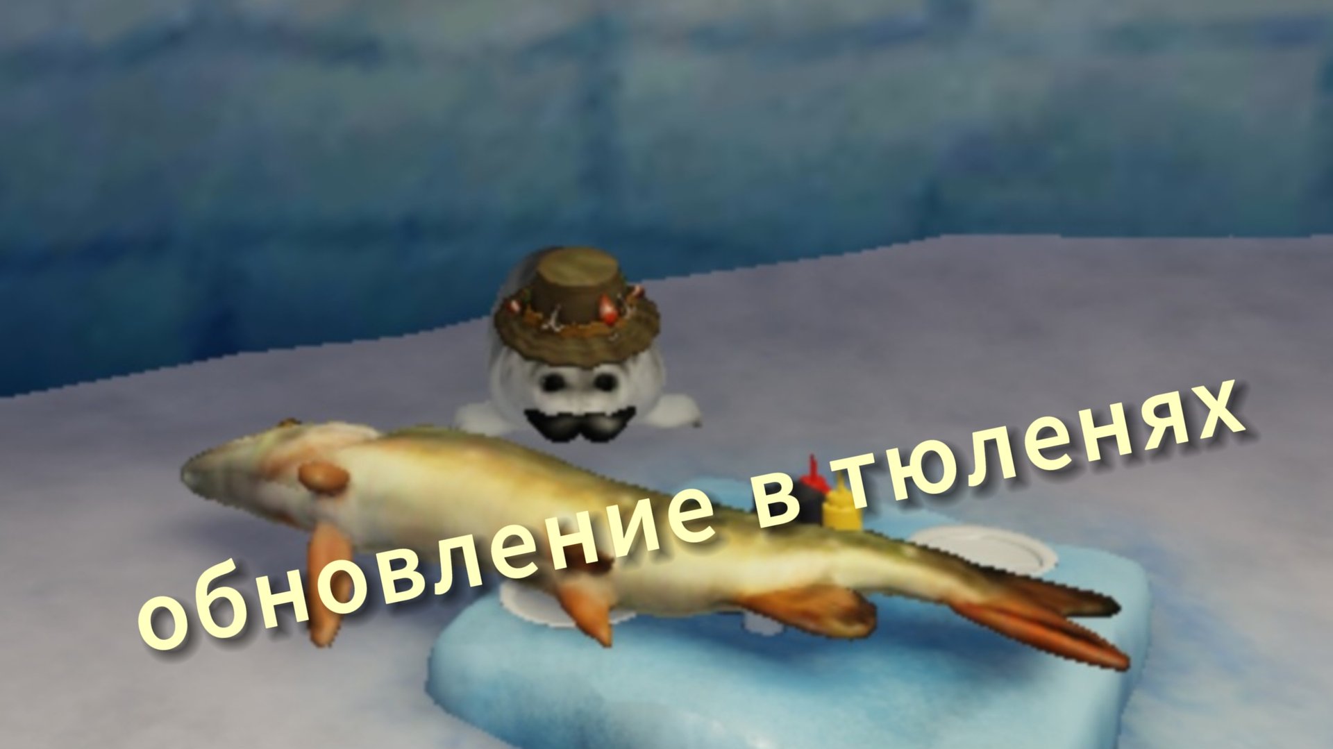 Обновление в тюленях 🦭