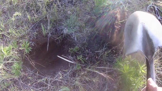 КОП С ТЁРКОЙ по старине