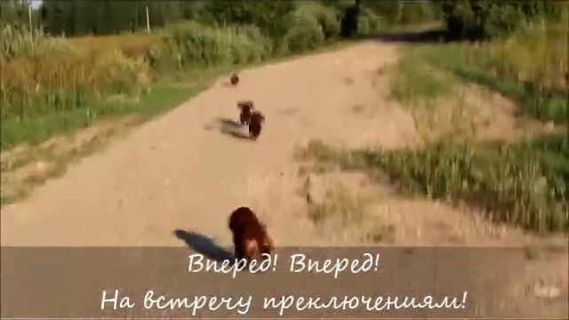 Большие каникулы маленькой Юки