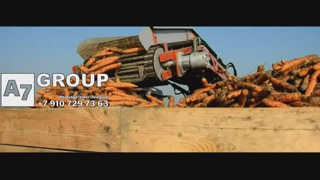 Комбайн для уборки свеклы, моркови #комбайн  #свекла #морковь